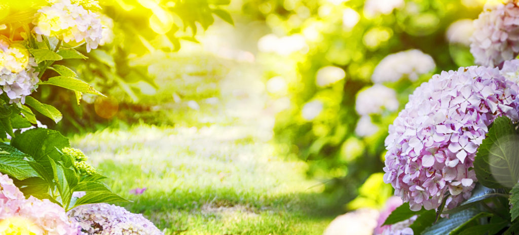 Landscapes in June, July & August - Lawn Depot